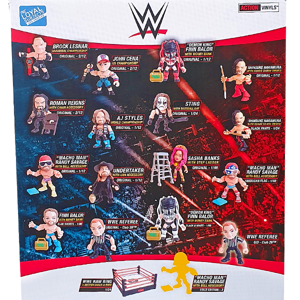 WWE Action Vinyls Window Box Hero Stash